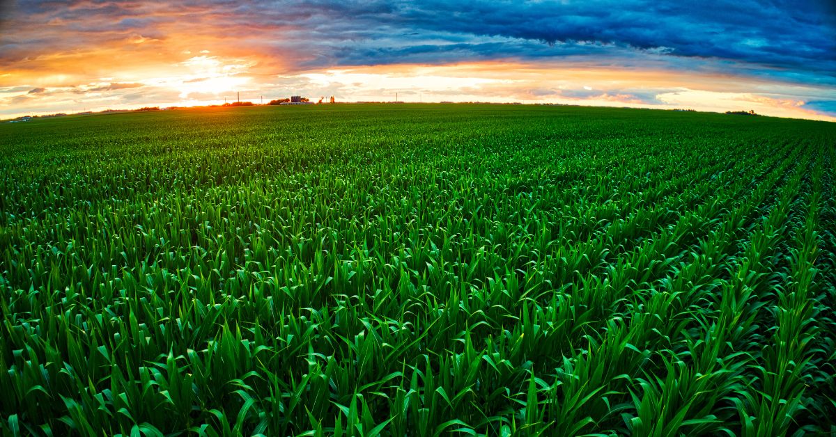 6 Essential Steps to Finding Your Perfect Farmland | Midwest Land ...