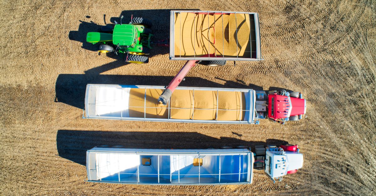 You Inherited the Family Farm: Now What? | Midwest Land Management ...