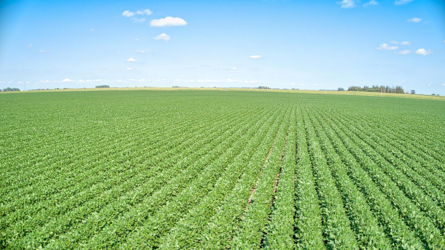 Midwest Farms for Sale | Midwest Land Management & Real Estate