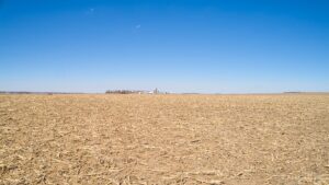 Recent Farmland Sales in Iowa | Midwest Land Management & Real Estate