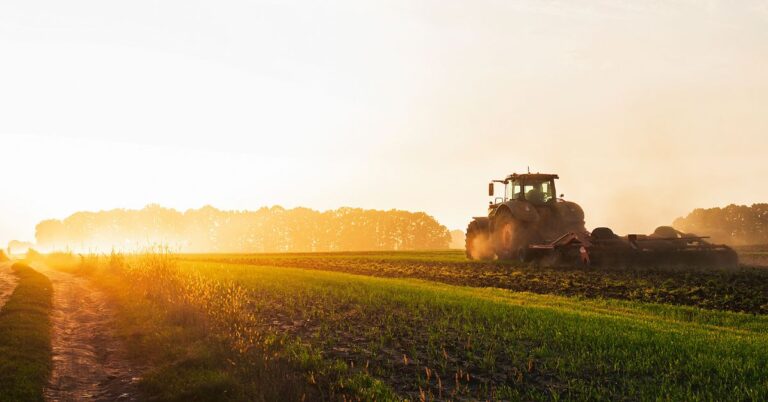 A Complete Guide to Farm Succession Planning