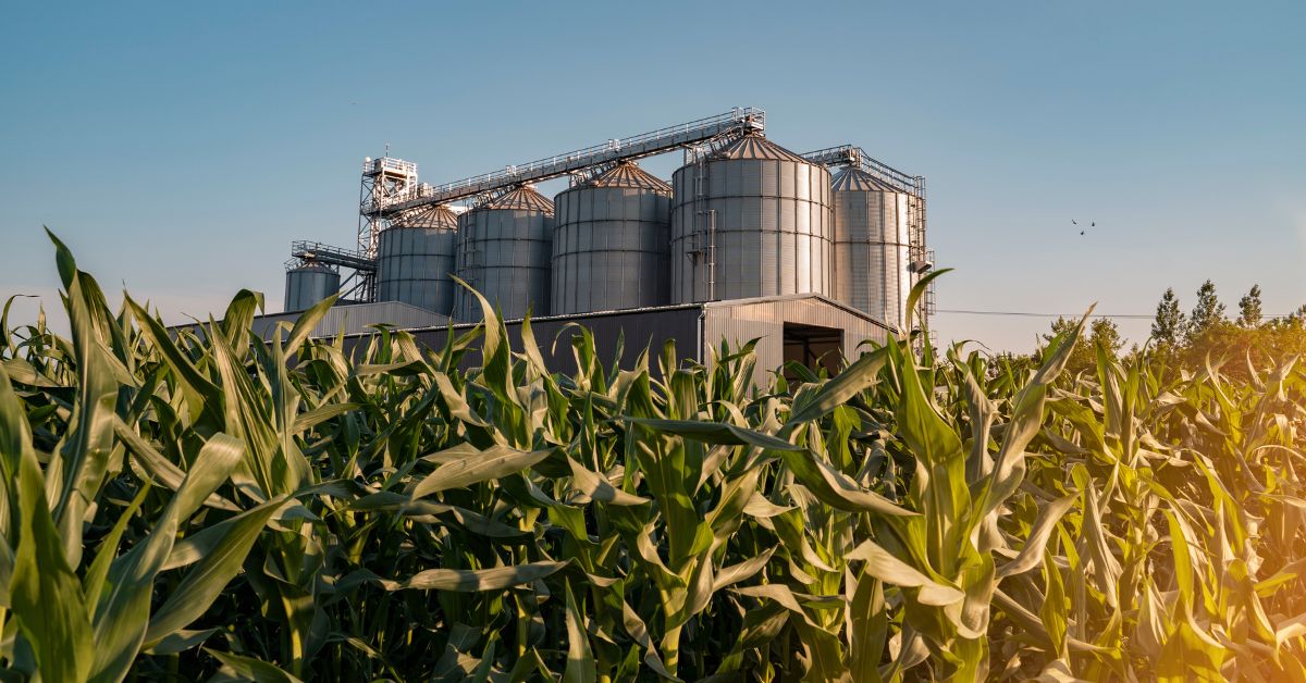 6 Key Responsibilities of a Farm Manager