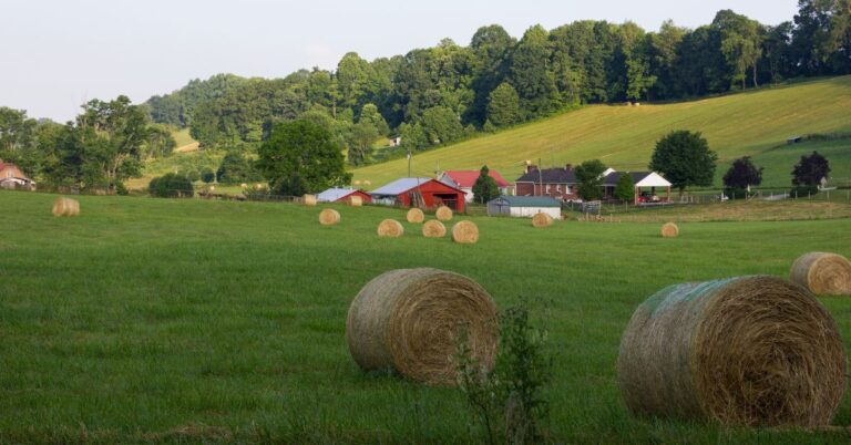 6 Key Responsibilities of a Farm Manager