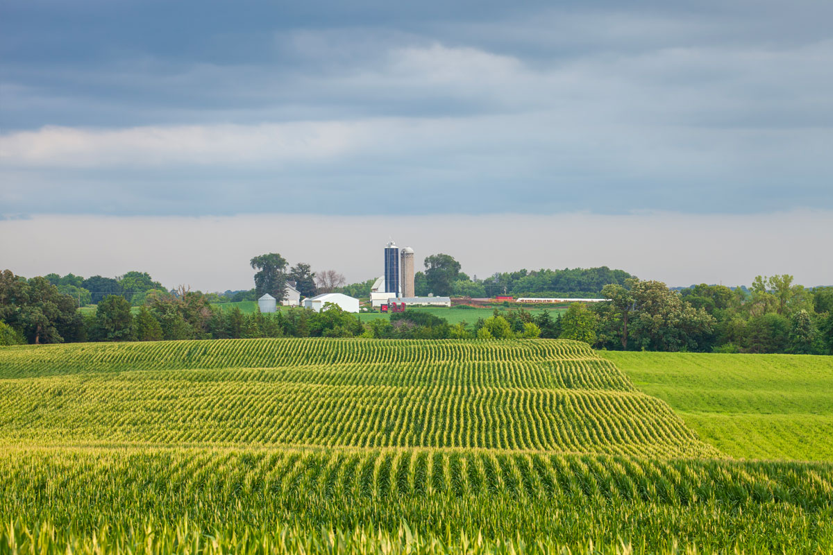 Iowa Farmland for Sale: A County‑by‑County Guide to Northwest Iowa ...